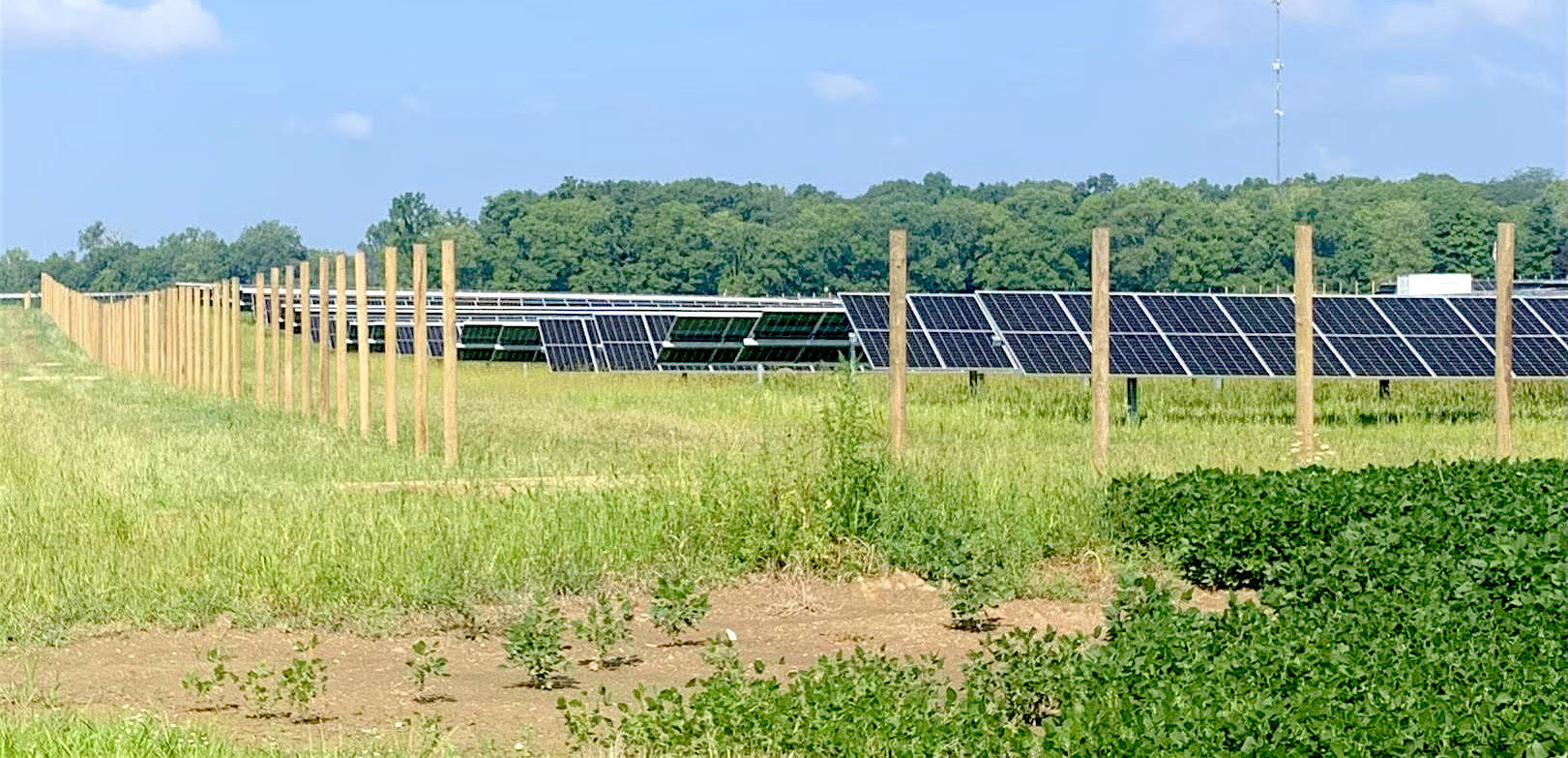 York Twp. requests a green energy ban
